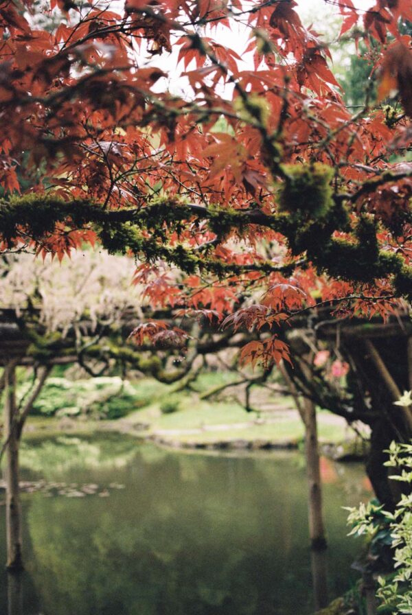 "yoshi" joshua michels – I’m a multi-disciplinary creative who enjoys ...