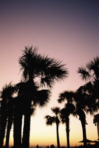 "yoshi" joshua michels – I’m a multi-disciplinary creative who enjoys ...